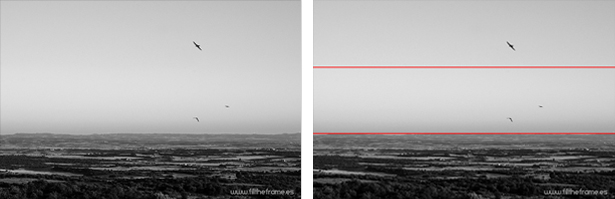La Regla del Horizonte, Fundamento Clave de la Composición Fotográfica