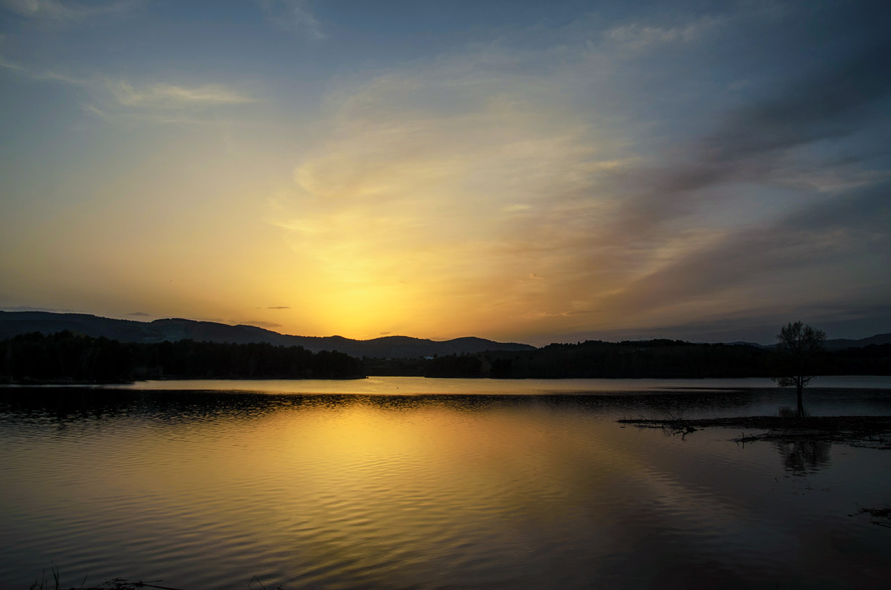 Balance de Blancos: Qué Es y Cómo se Usa