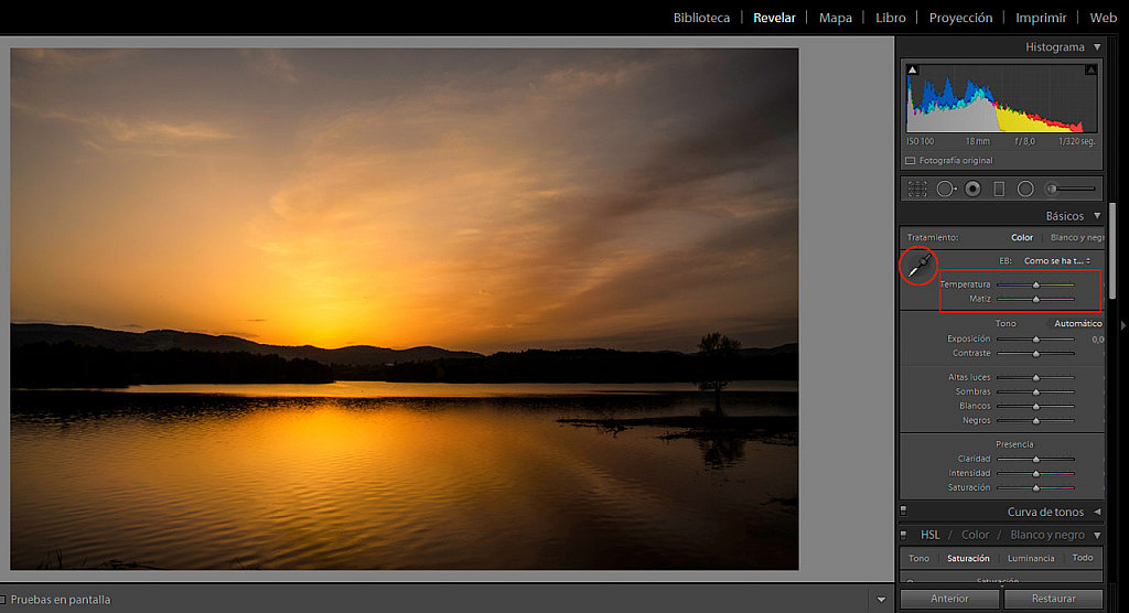 Balance de Blancos: Qué Es y Cómo se Usa