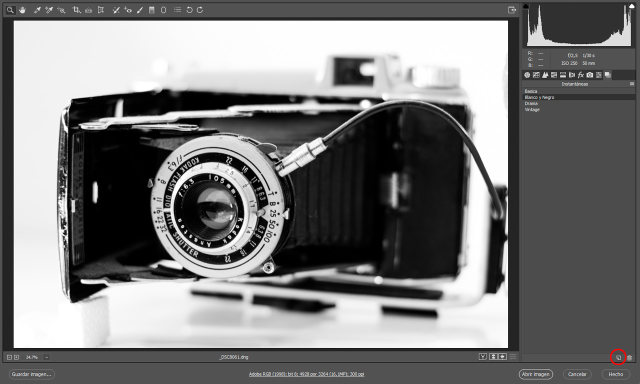 Adobe Camera RAW (ACR) de Photoshop: La Guía Completa