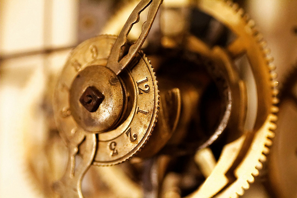 35 Fotos Macro Impresionantes para Inspirarte