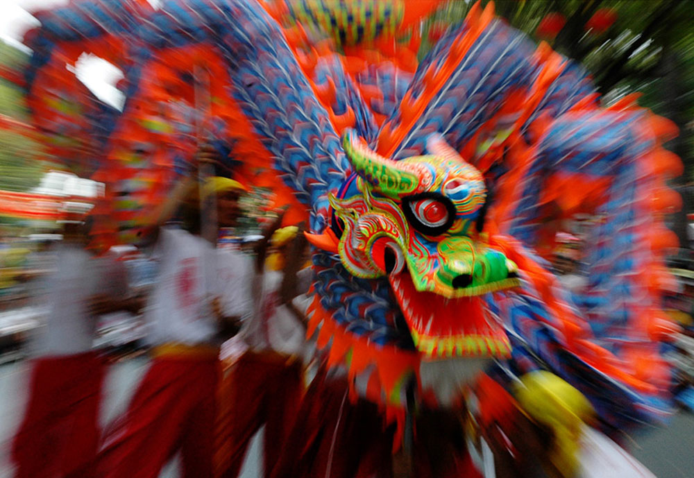 Efecto Zooming: Introduciéndonos En La Fotografía