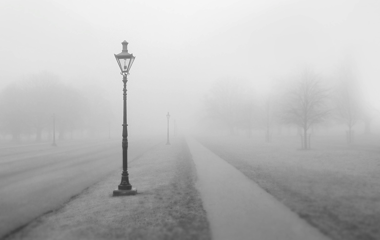 7 Consejos para Hacer Fotos en la Niebla Geniales
