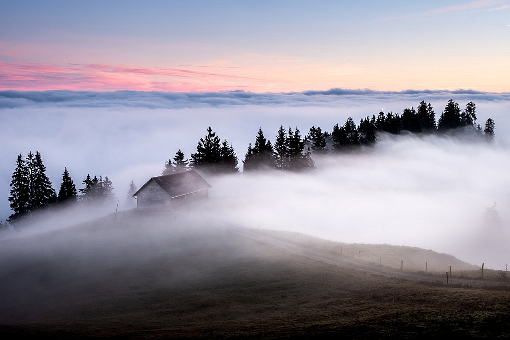 23 Hermosas Fotos en la Niebla para Inspirarte