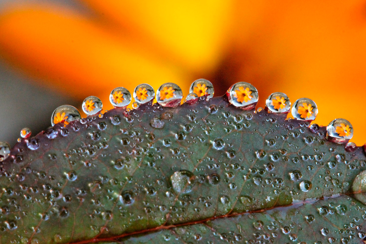 27 Fantásticas Fotos para Inspirarte esta Primavera