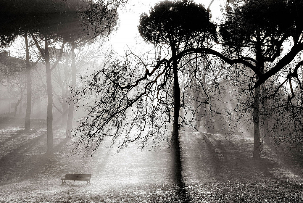 25 Ejemplos de Fotografía a Contraluz para Inspirarte