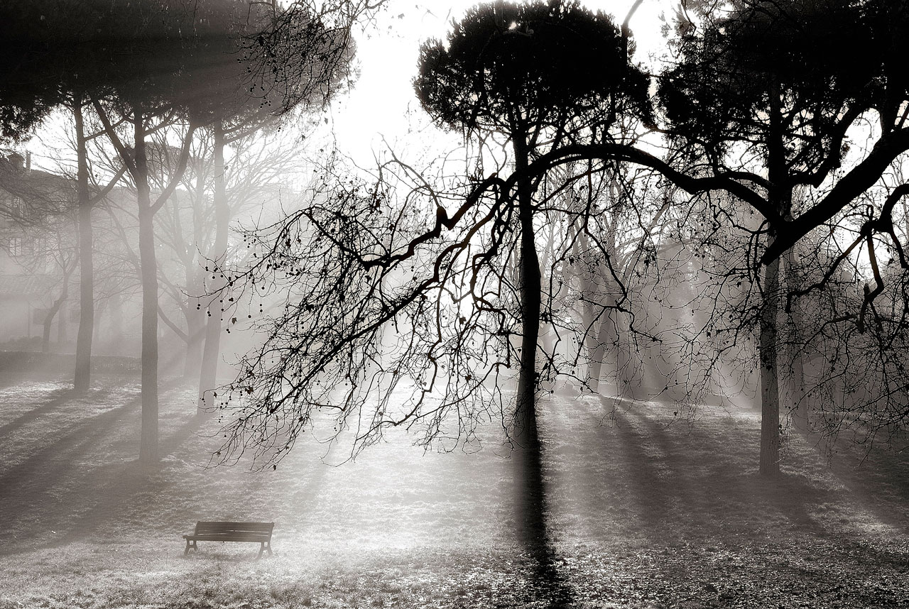 25 Ejemplos de Fotografía a Contraluz para Inspirarte [2]