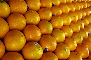 El Ritmo como Elemento Compositivo y Cómo Sacarle Partido