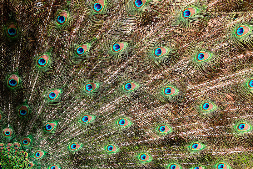 El Ritmo como Elemento Compositivo y Cómo Sacarle Partido