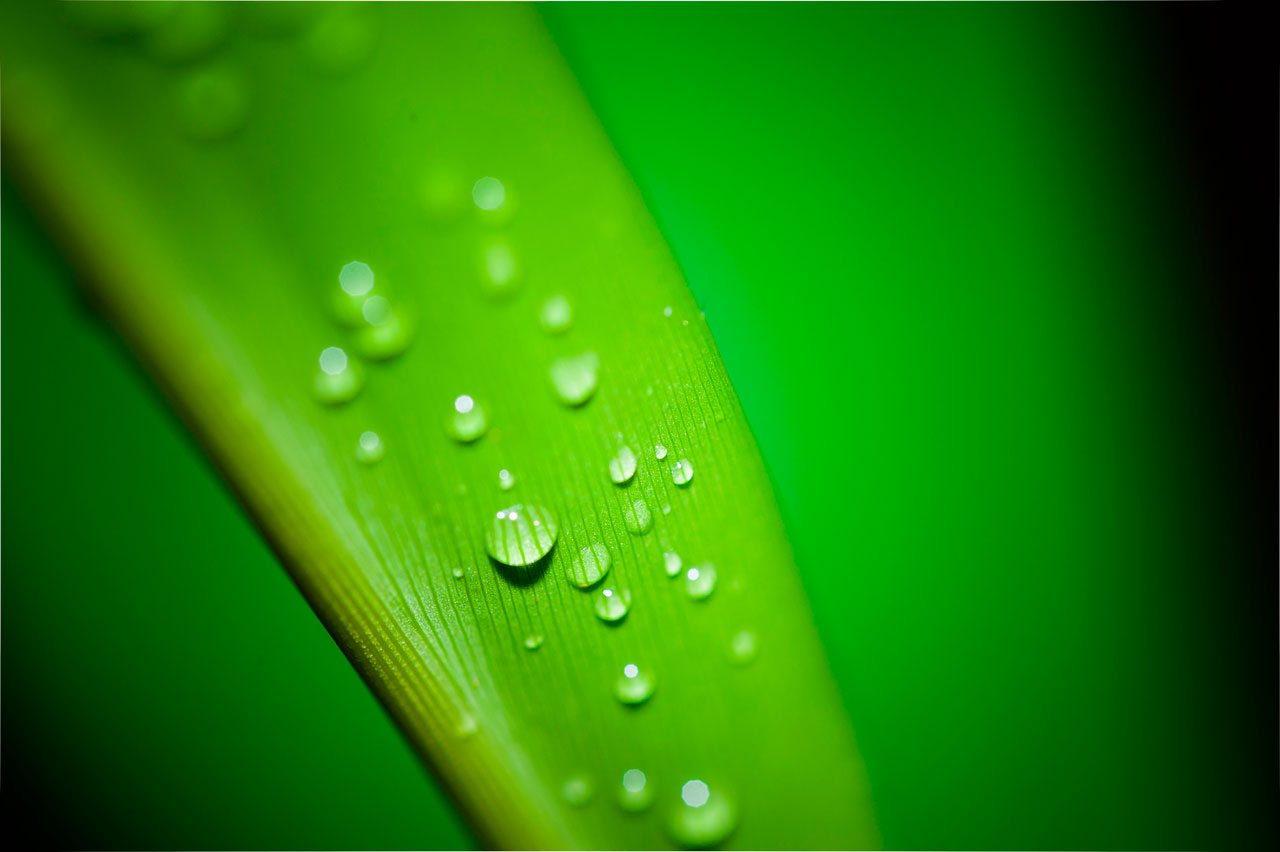 30 Fotografías de Gotas de Agua que Seguro te Inspirarán