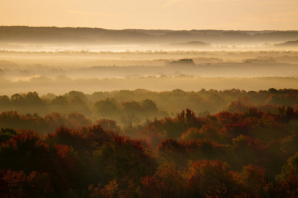 25 Fotos de Bosques para que Desempolves la Cámara