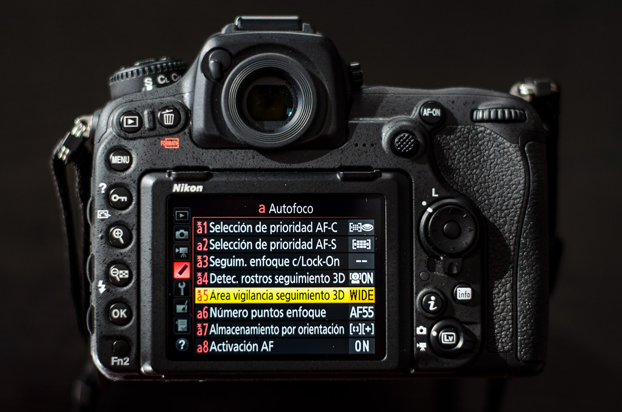 9 Consejos Para Mejorar El Enfoque En Tus Fotos