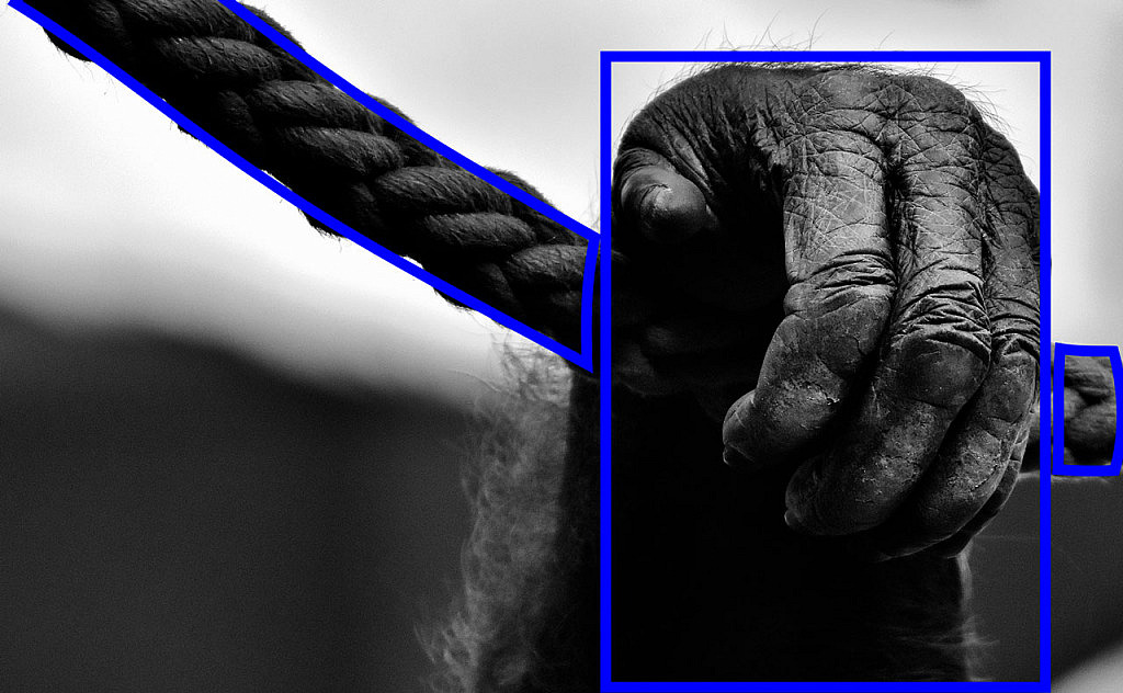 Qué es el Peso Visual y Cuál es su Efecto en la Composición Fotográfica