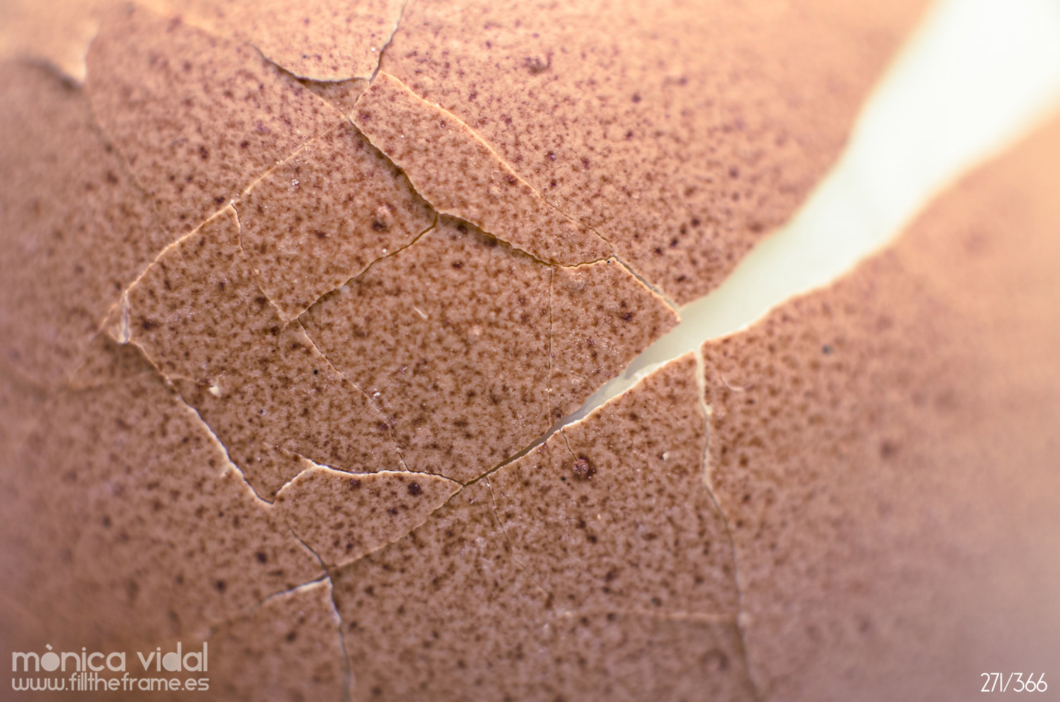 Las Texturas en Fotografía y Cómo Sacarles Jugo