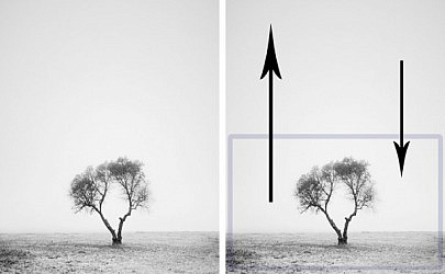 El Impacto que Tienen los Diferentes Formatos en tus Fotos y Cómo ...