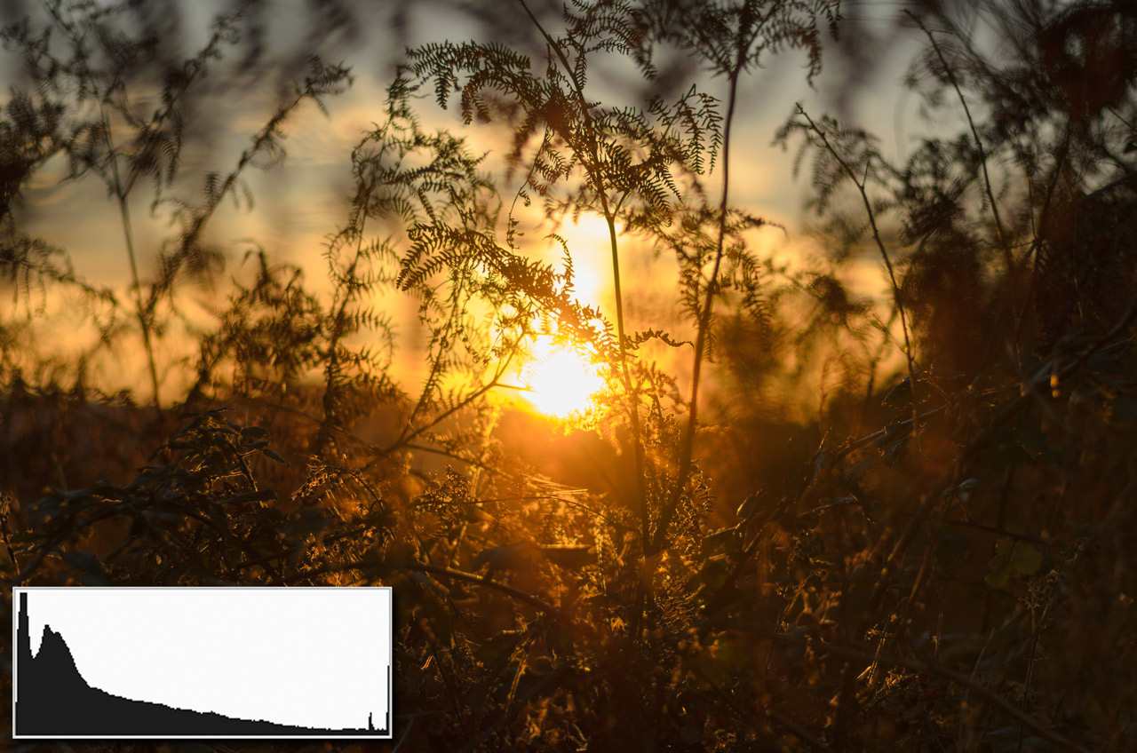Qué es el Histograma y Cómo Usarlo para Hacer Mejores Fotos