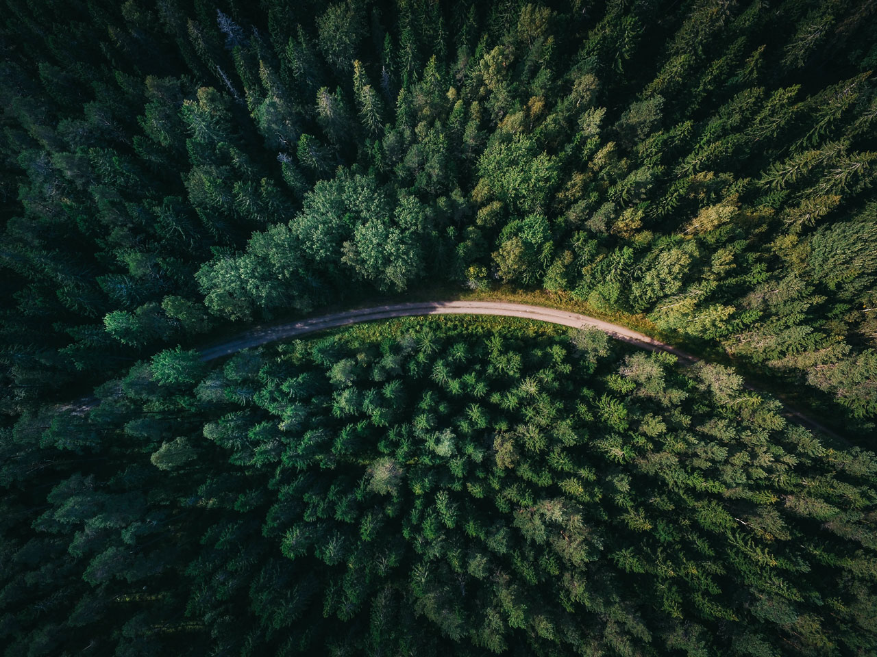35 Estupendas Fotos en Ángulo Picado para Inspirarte