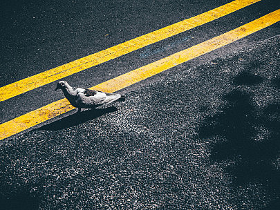 35 Estupendas Fotos en Ángulo Picado para Inspirarte