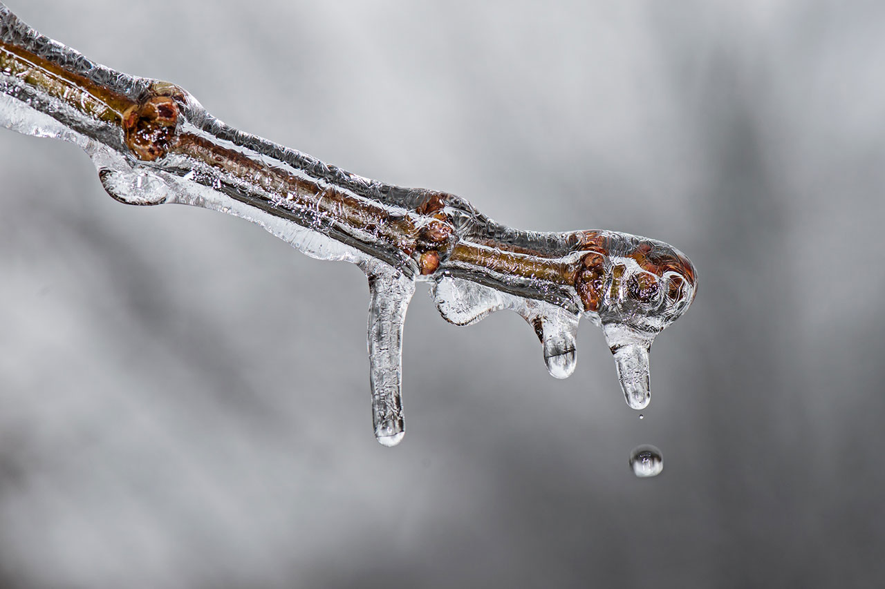 Fotografiando el Frío: 15 Consejos que Te Dejarán Helado