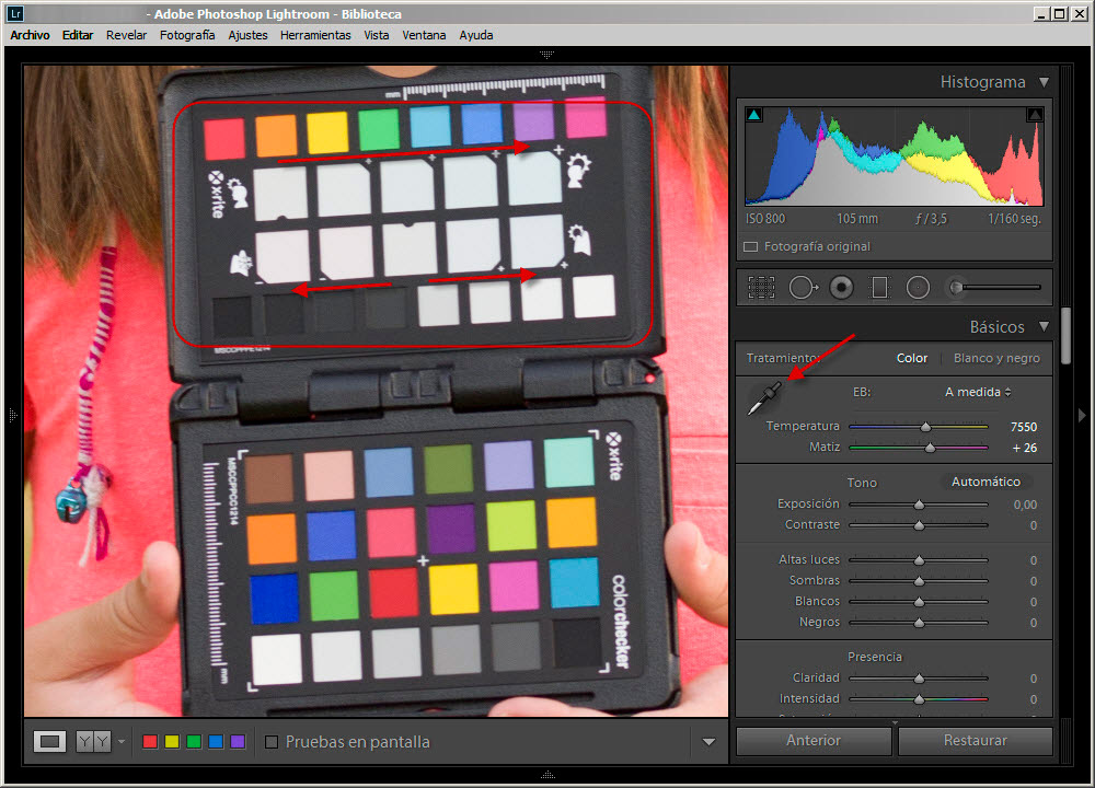 ColorChecker Passport: Logra La Máxima Fidelidad De Color En Tus ...