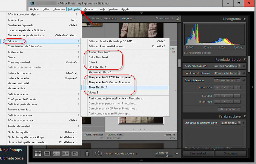 Google Nik Collection: Funcionalidades y Cómo Sacarle Jugo