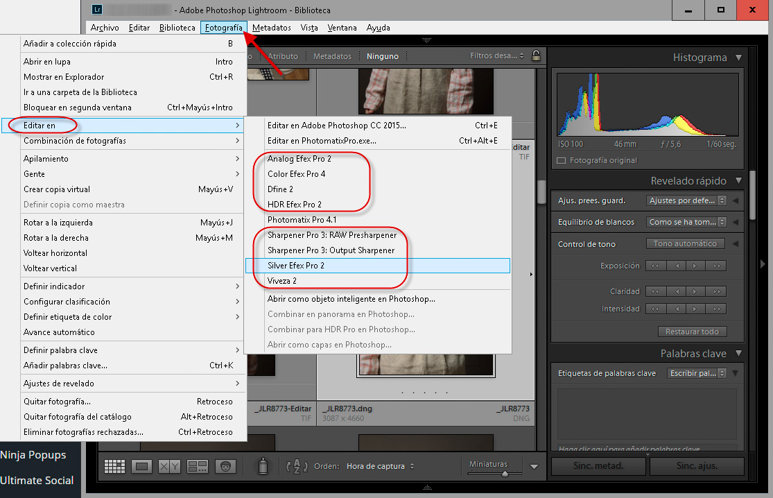 Google Nik Collection: Funcionalidades y Cómo Sacarle Jugo