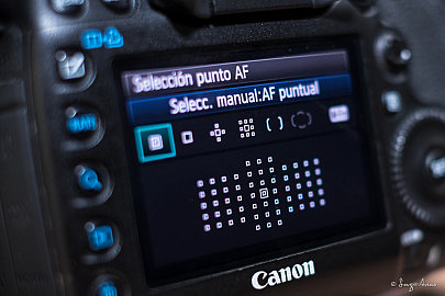 3 Opciones para Controlar Cómo Enfocar al Punto Exacto