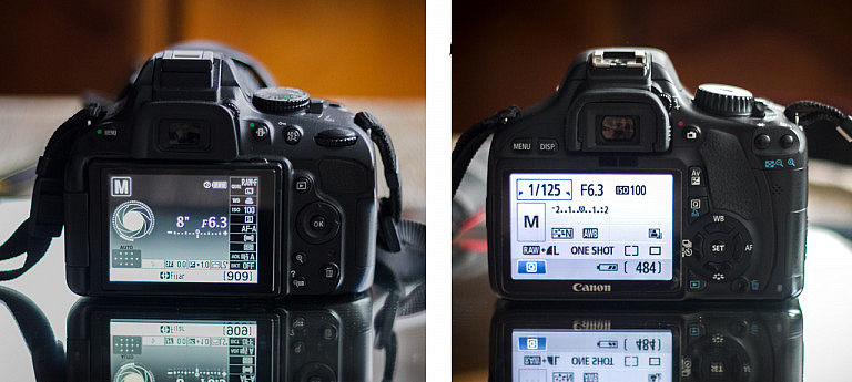 ¿Canon o Nikon? El Eterno Dilema para el Que Tenemos Respuesta