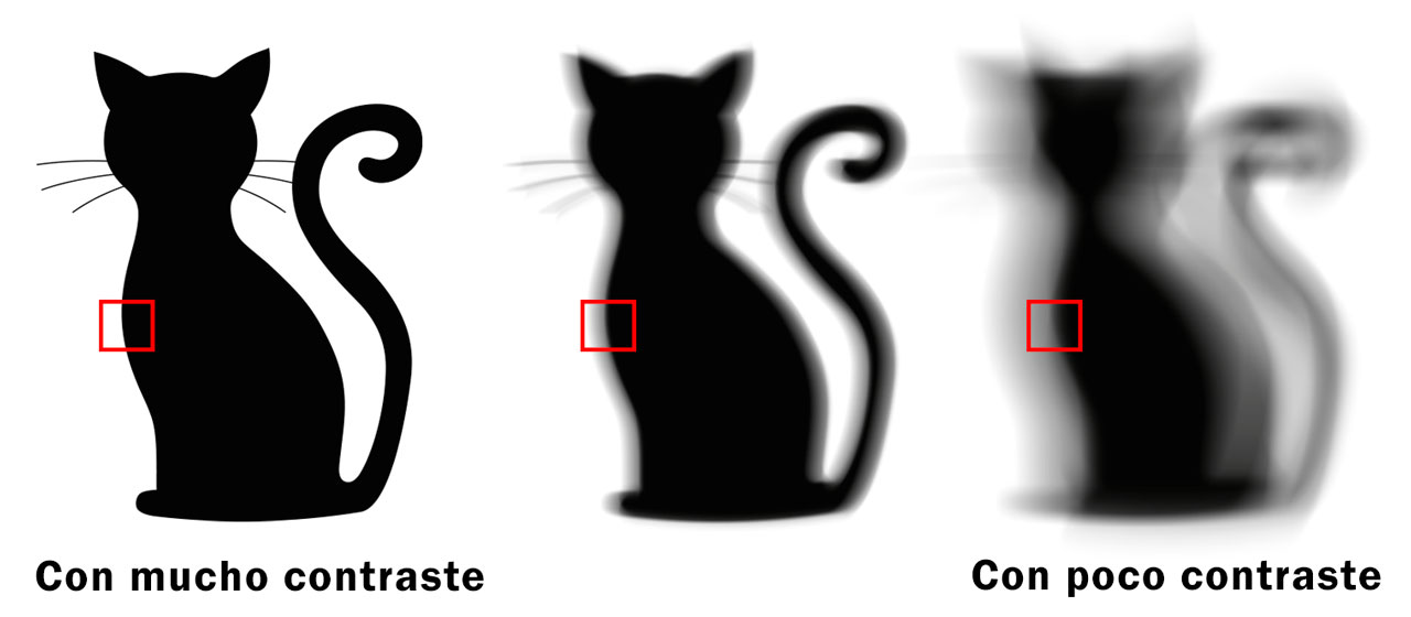 Los Diferentes Tipos de Enfoque Automático