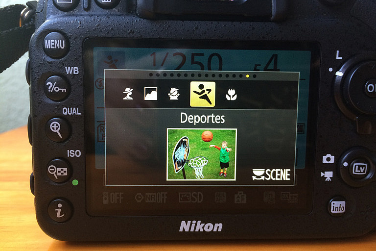 Cómo Usar los Modos Escena para Aprender Más Fotografía