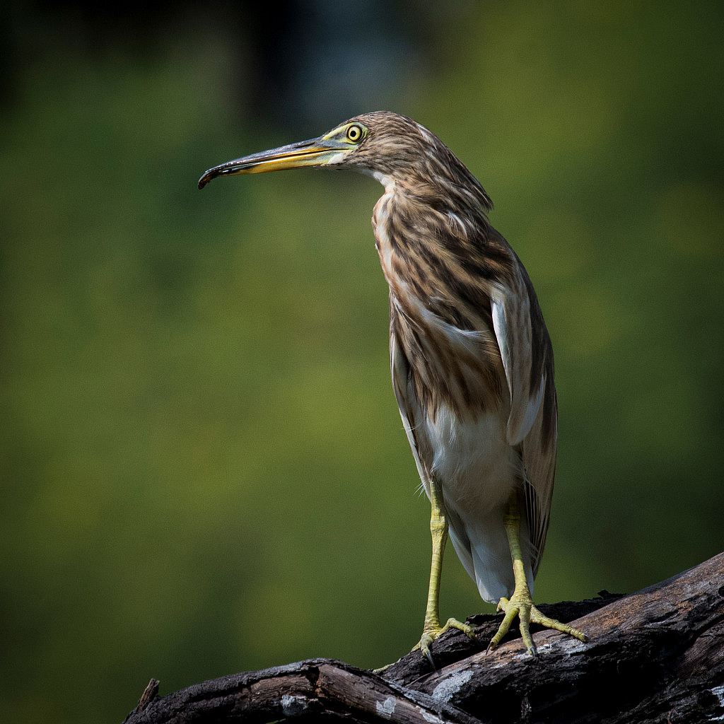 11 Ideas Para Volver a Sacar Tu Cámara Esta Primavera