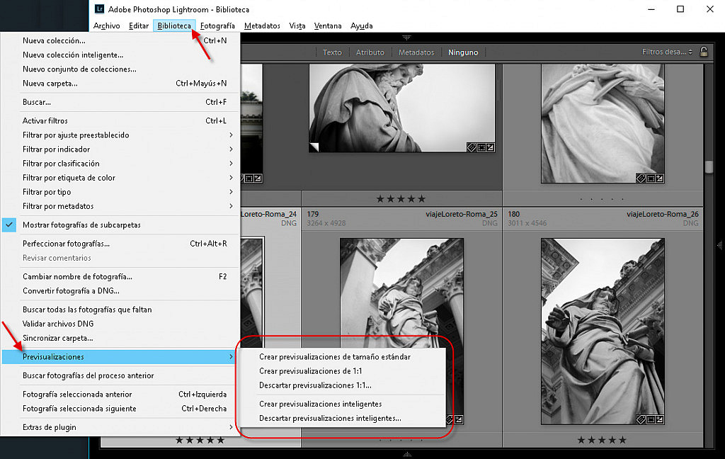 Todo lo Que Necesitas Saber Sobre Las Previsualizaciones en Lightroom