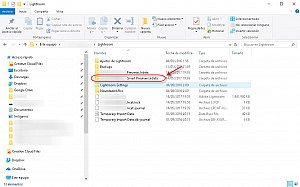 Todo lo Que Necesitas Saber Sobre Las Previsualizaciones en Lightroom