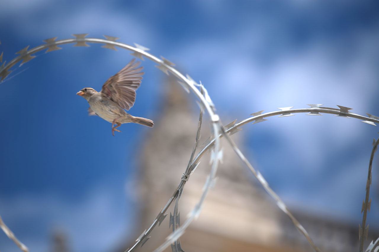 Iniciación al Lenguaje Visual y su Uso en Fotografía