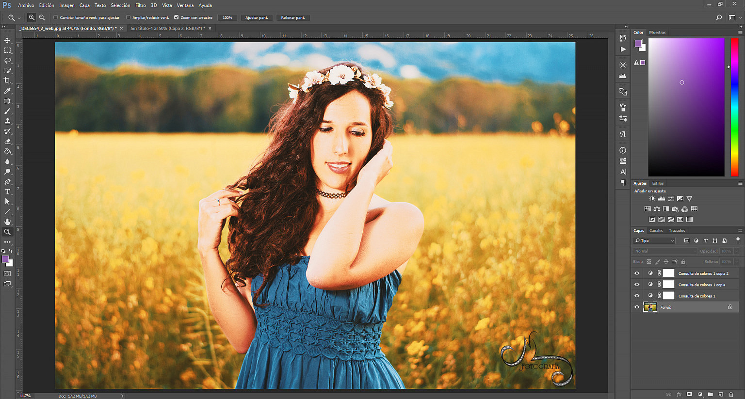 Todos los Secretos sobre el Ajuste Consulta de Colores de Photoshop