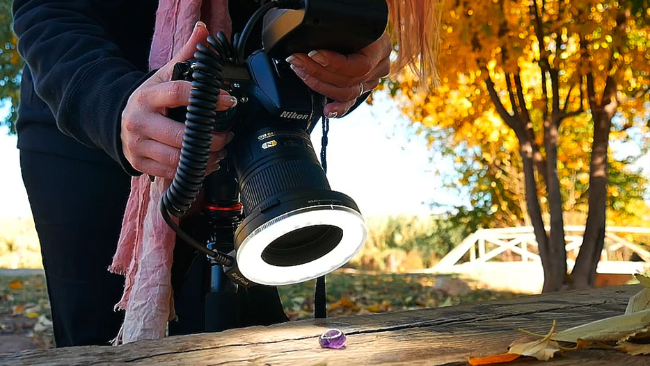 Guía Completa para Iniciarse en la Fotografía Macro