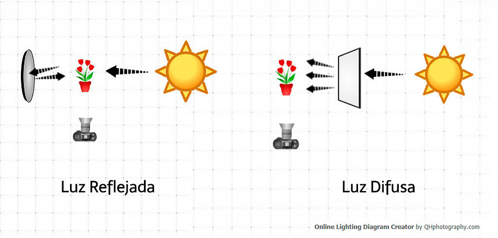 Cómo Aprovechar al Máximo la Luz Natural en Fotografía Macro
