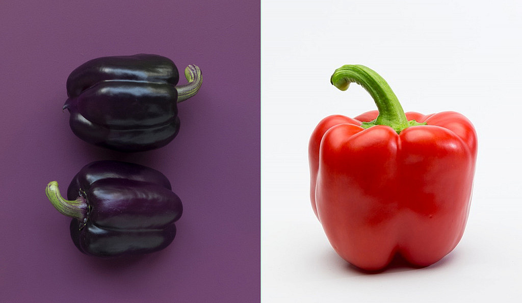 Utiliza el Contraste de Color para Crear Fotografías Más Impactantes