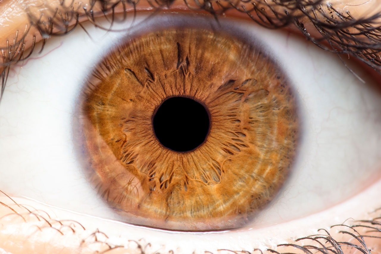 Cómo Fotografiar Ojos Humanos Desde Muy Cerca Presets Lightroom Gratis