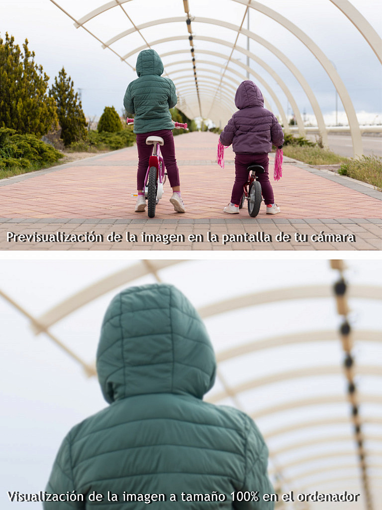 4 Consejos Para Dominar El «Chimping»: La Revisión De Las Fotografías ...