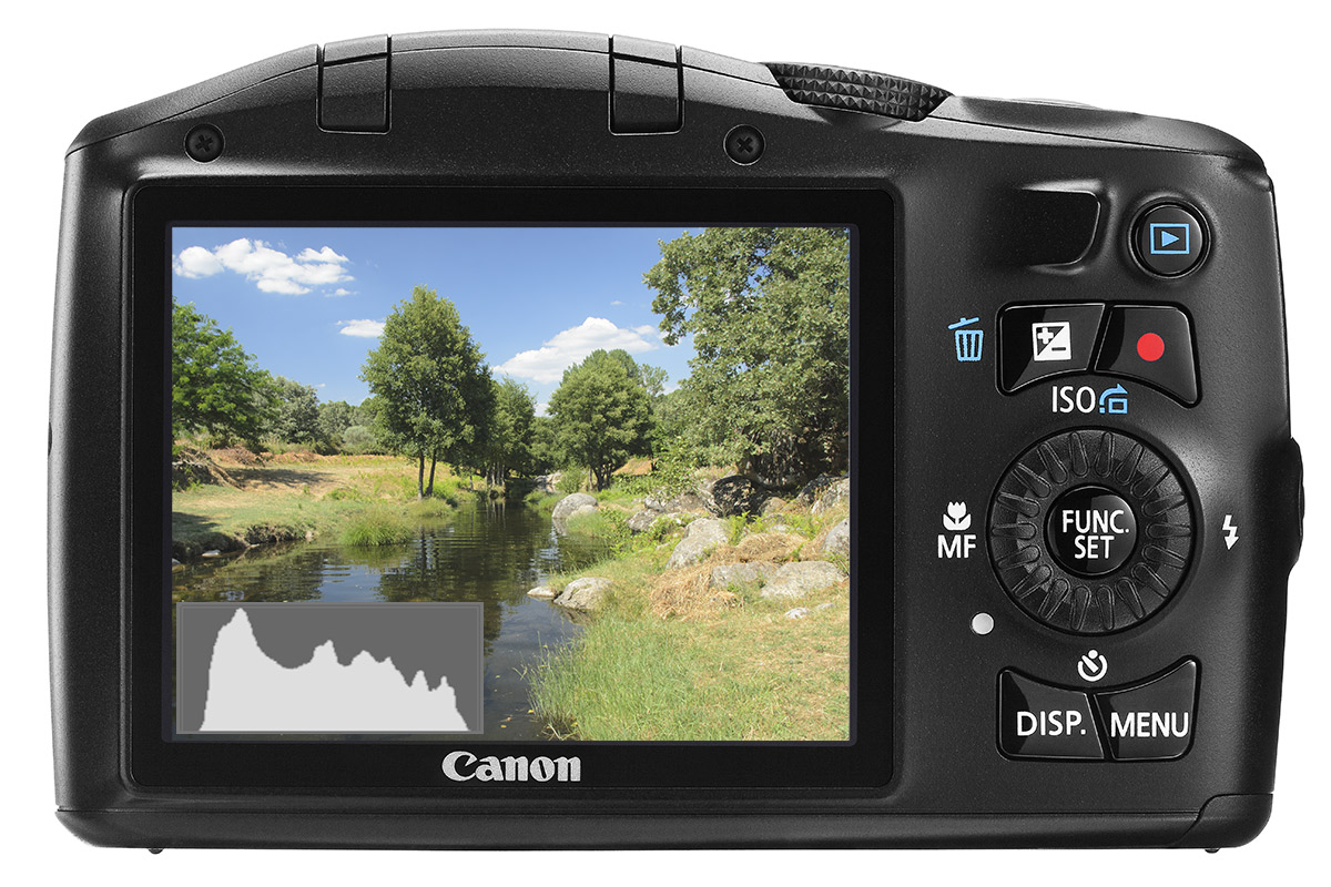 4 Consejos Para Dominar El «Chimping»: La Revisión De Las Fotografías ...