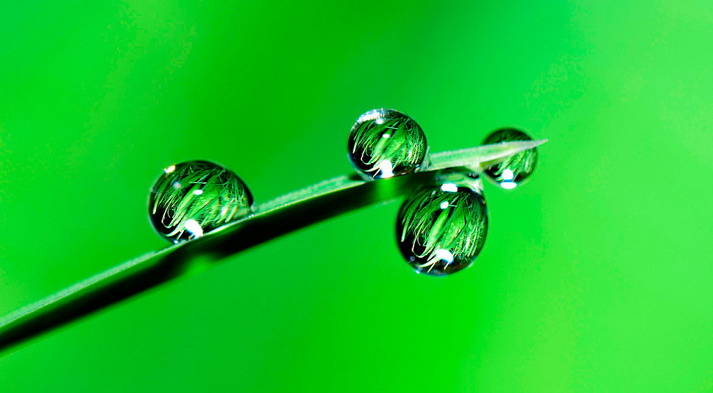 9 Ideas Creativas para Utilizar el Agua como Motivo Fotográfico