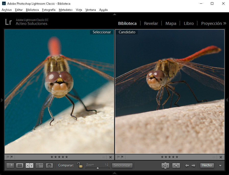 Aprende a Seleccionar Tus Mejores Fotos Con La Vista Comparar De ...