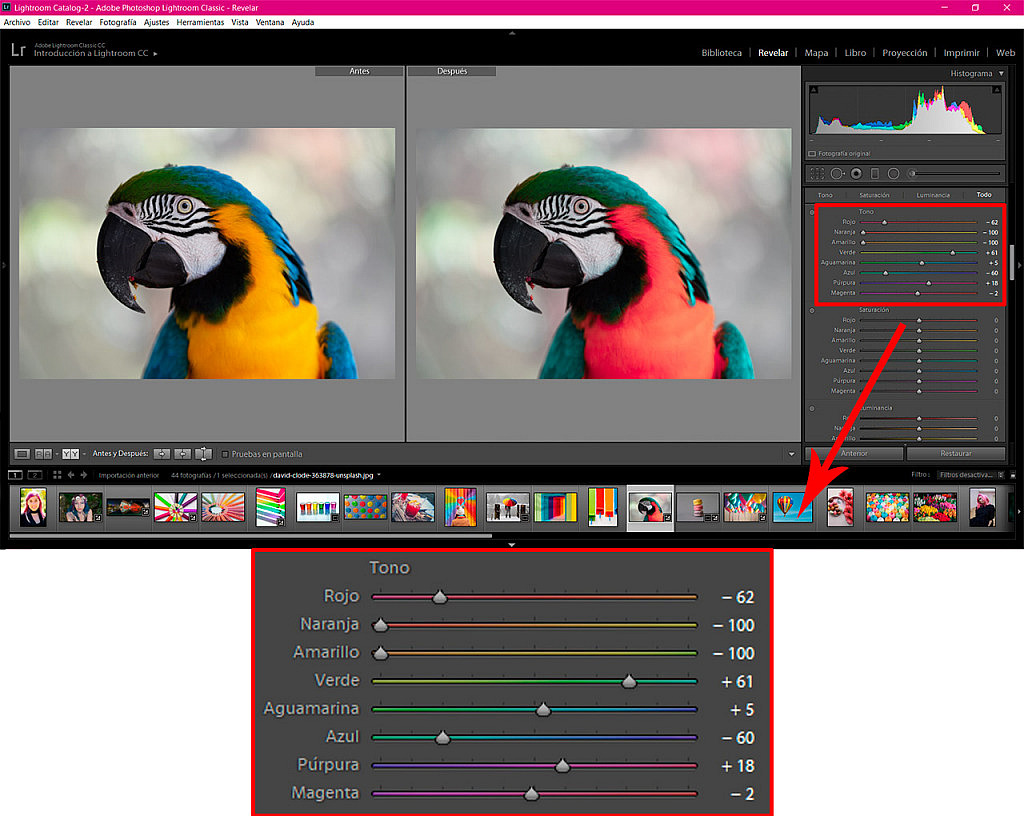 Panel HSL de Lightroom: Lleva el Retoque de Color a otro Nivel