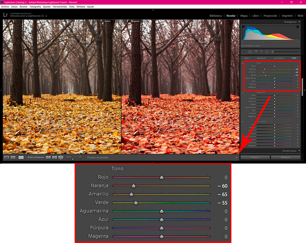 Panel HSL de Lightroom: Lleva el Retoque de Color a otro Nivel