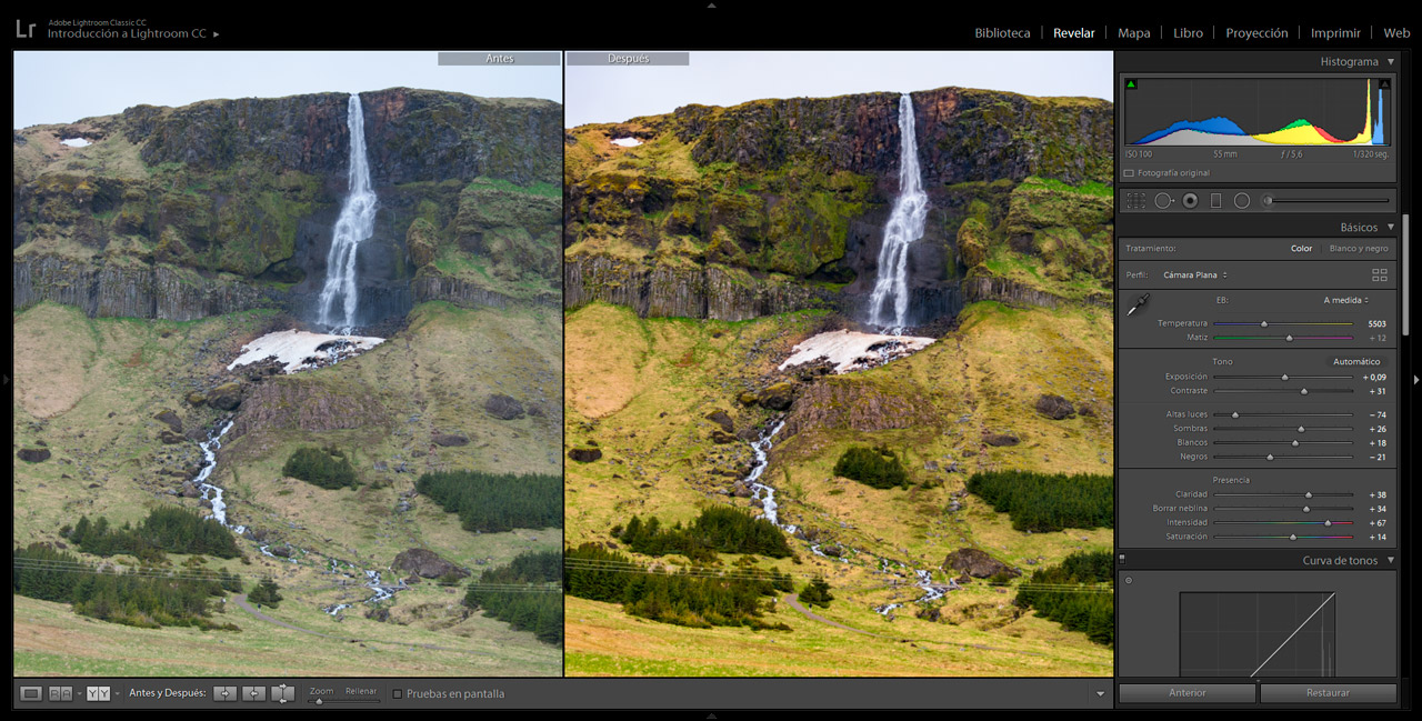Revelar, Retocar y Manipular: No Son lo Mismo