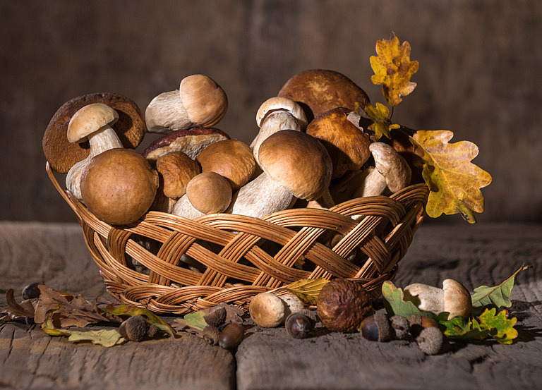 Consigue las Mejores Fotos de Stock con estos 10 Sencillos Consejos
