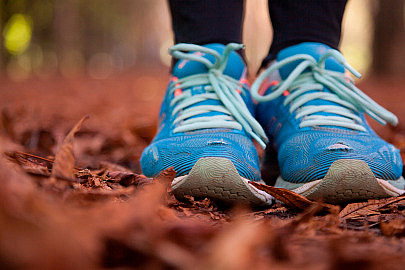 Consigue las Mejores Fotos de Stock con estos 10 Sencillos Consejos