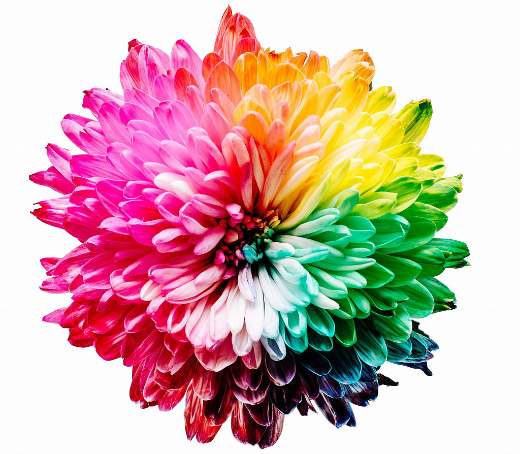 La Psicología del Color y su Uso en Fotografía