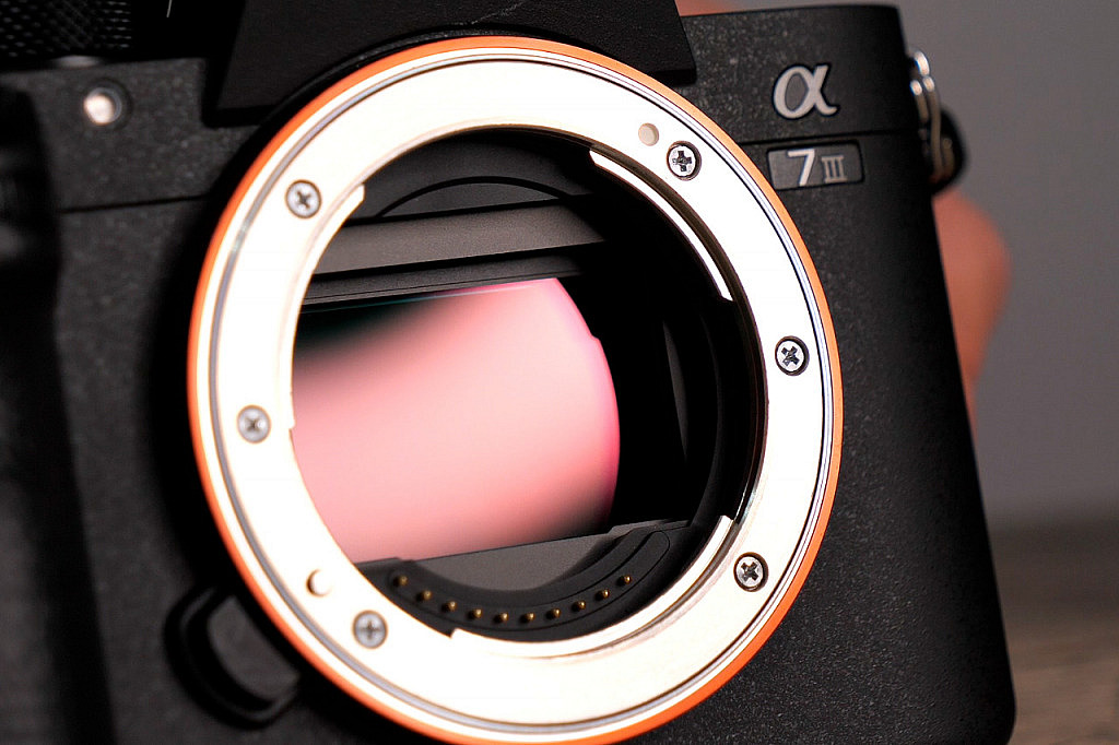 Todo lo que Necesitas Saber Antes de Adquirir Tu Nueva Cámara